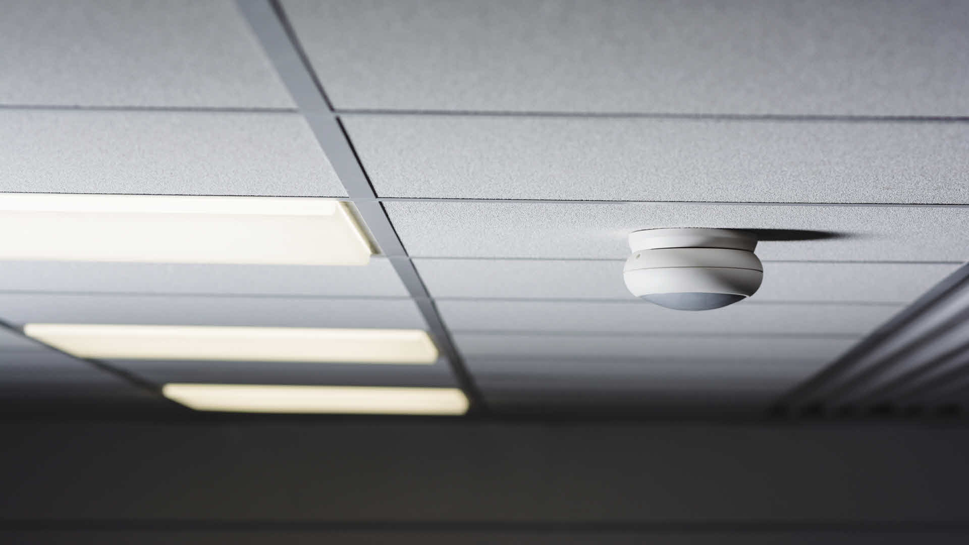 Occupancy Sensors Ceiling Costs